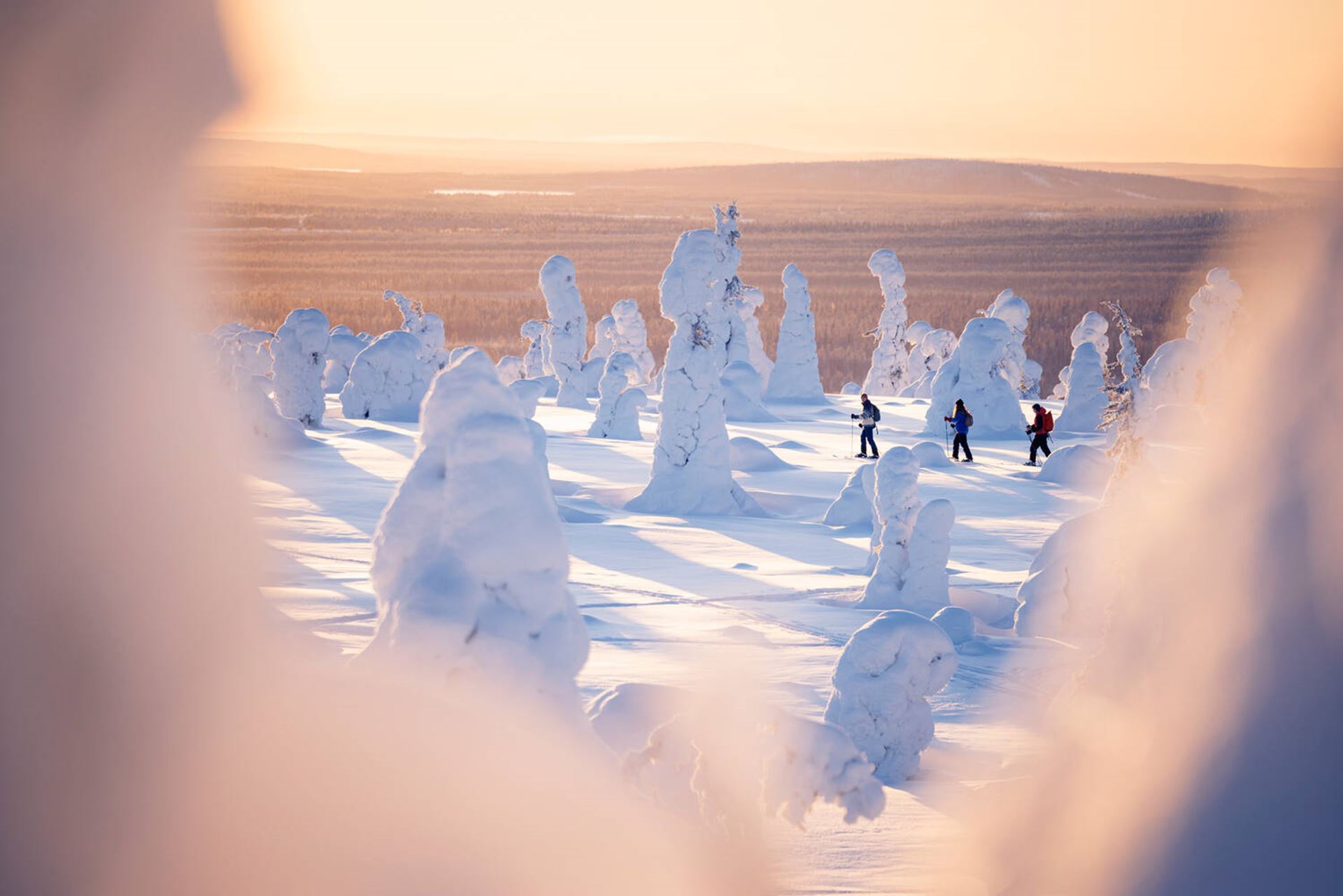 Kuusamon Tropiikki resort | Spa hotel Finland | Holiday Club