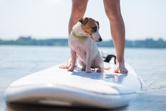 Tekemistä Kuusamossa | Kuusamon Tropiikki | Holiday Club